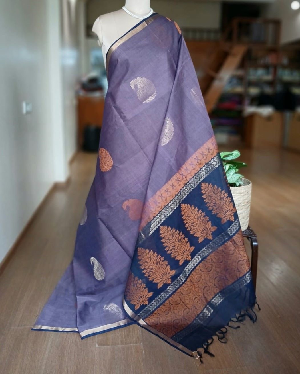 Kanchi Cotton Handweave with thin zari border - (KANC1137) - The Magic Room