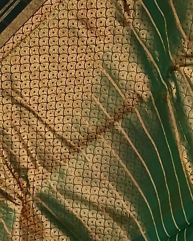 Grand Silk-Cotton Gadwal Handweave Saree with Zari Borders – (GHSS0008 ...